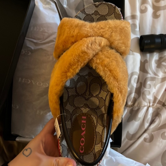 Coach | Shoes | Coach Tally Shearing Sandals | Poshmark